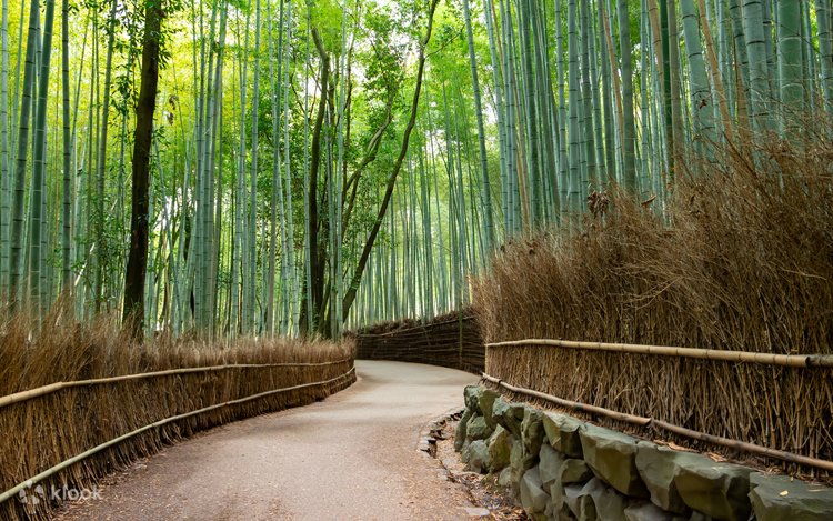 Arashiyama & Nara Park & Fushimi Inari Shrine Day Trip (From Osaka/Kyoto) - Klook India