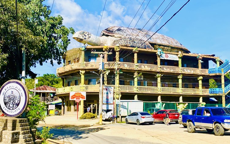 West Bay Beach & Explore Roatan Excursions Half-day City & Beach Tour ...