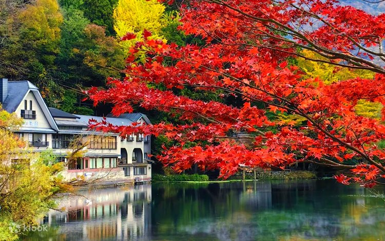 Nyoirin-ji Temple & Yufuin & Umi Jigoku & Kamado Jigoku One Day Tour (Korean Guide/Departure ...