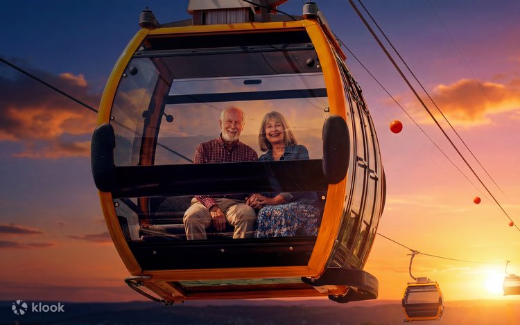 Busan Full-Day Small Group Tour with Sky Capsule & Cable Car - Klook Canada