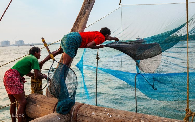 Kerala Beauty, Cochin with Alleppey Houseboat Tour (03 Days) - Klook