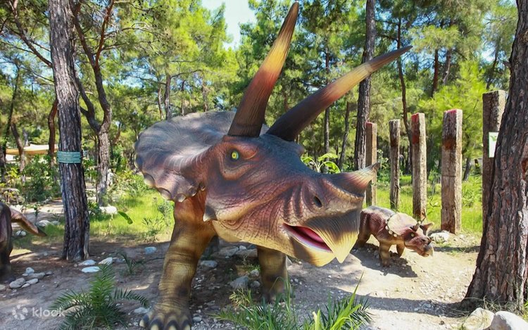 Goynuk Canyon & Dino Park Full-Day Tour - Klook