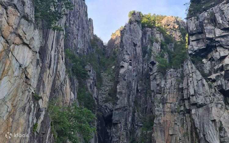 Stavanger Lysefjord & Pulpit Rock Half-Day Cruise - Klook