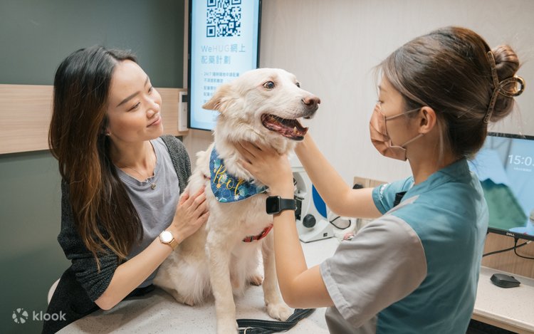 香港WeHUG新界動物醫療中心 - Klook 客路