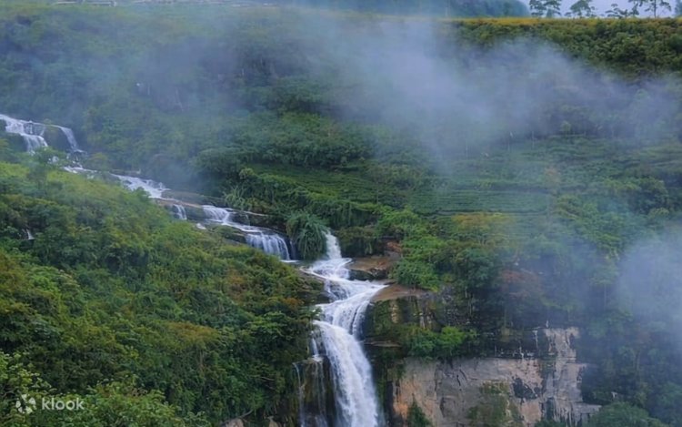 Nuwara Eliya Ramboda Falls & Tea Plantation Half-Day Tour with Tea ...