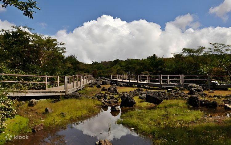 Jeju Island Highlights | East or South & West Day Tour - Klook Singapore