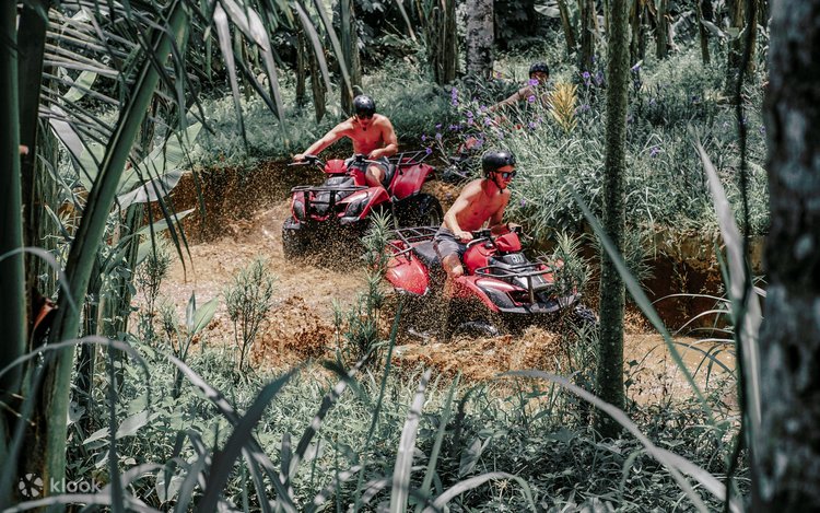 Bali ATV Quad Bike Adventure ad Abiansila Ubud - Klook Stati Uniti