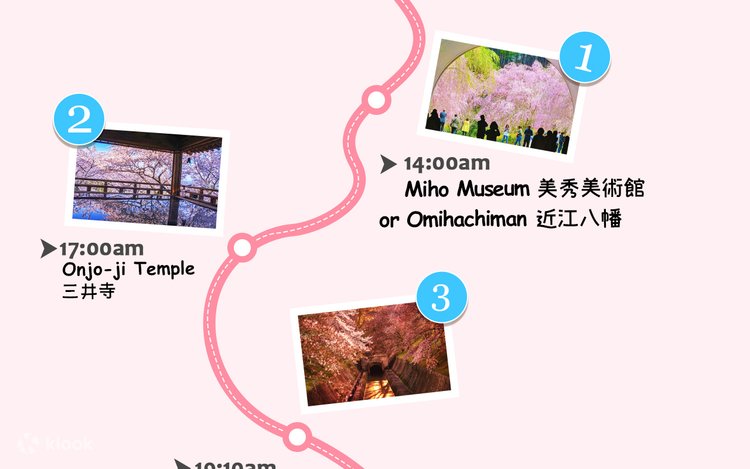 Tour ngắm hoa anh đào đêm ở Bảo tàng Miho & Chùa Mii-dera (Khởi hành từ ...