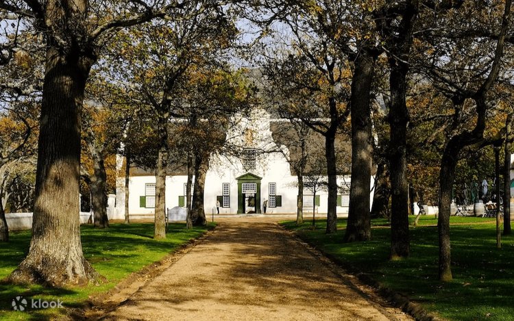 groot constantia
