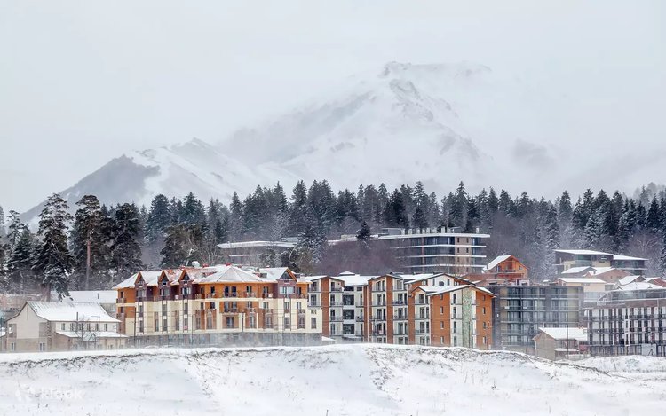 Borjomi & Bakuriani One-Day Ski Route Tour - Klook Canada