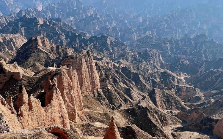 One-Day Tour from Lanzhou: Yellow River Stone Forest National ...