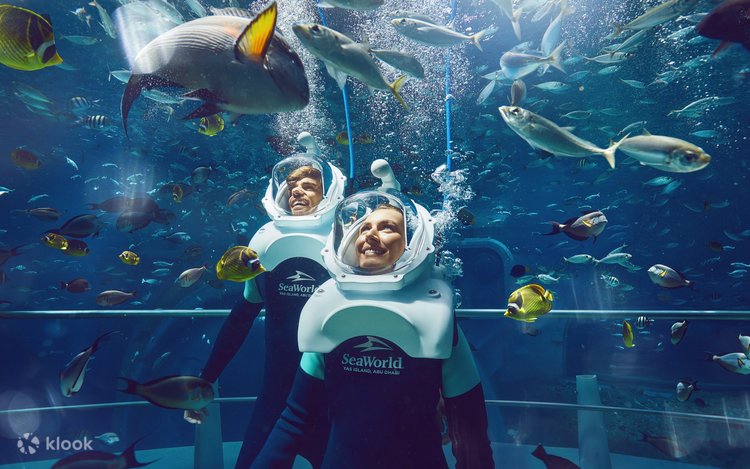 SeaWorld Admission Ticket in Abu Dhabi - Klook