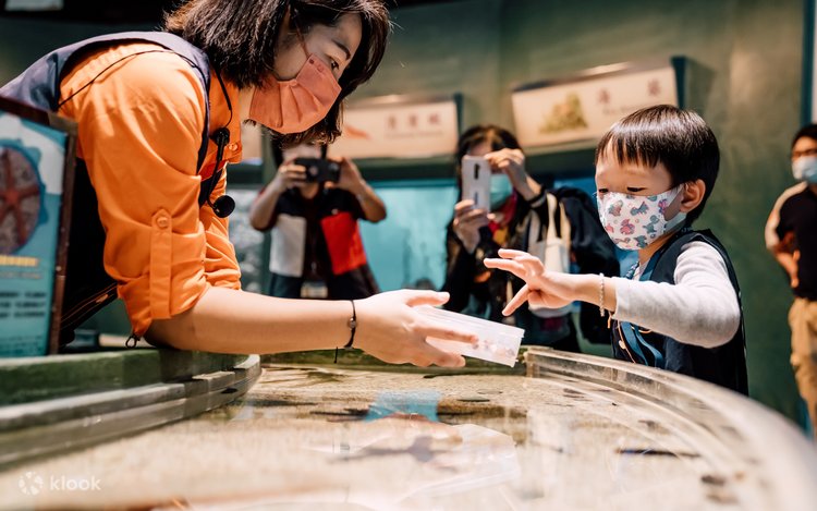 Pingtung Marine Museum｜Itinerary Experience: Mini-narrator・Fishing ...