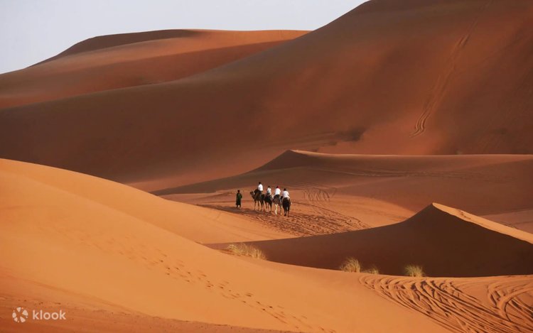 3-Day Sahara Desert Tour to Agadir from Marrakech - Klook