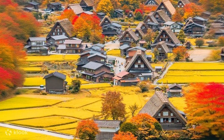 Shirakawa-go Gassho Village & Hida Takayama & Kamikochi Autumn Foliage Two-Day Tour - Klook