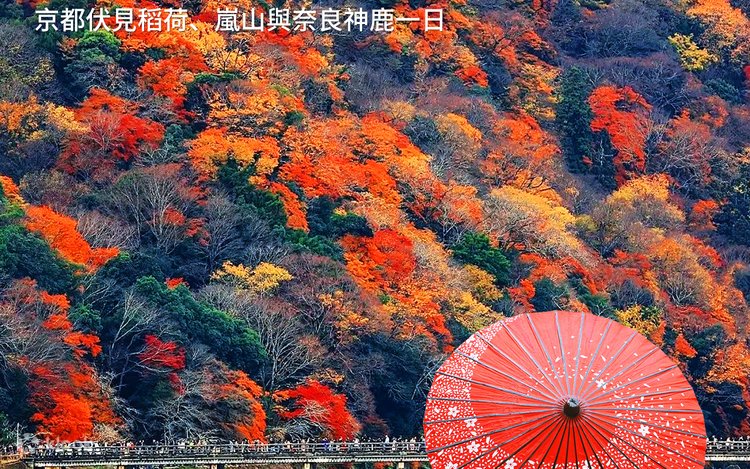 Kyoto, Arashiyama, Nara: Sagano Scenic Railway, Bamboo Forest Path, Yuzen Forest of Light, Nara ...