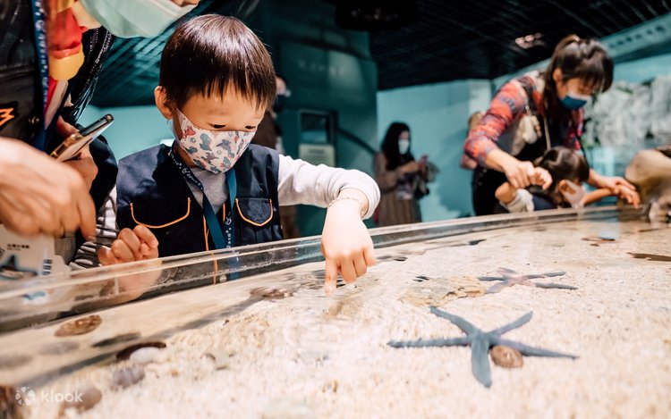 Pingtung Marine Museum｜Itinerary Experience: Mini-narrator・Fishing ...