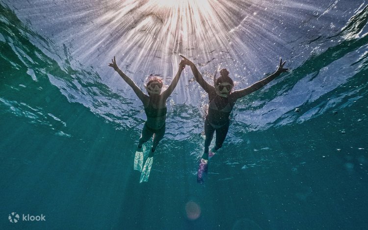 Snorkeling Tours in Okinawa with Tonton Dive - Klook India