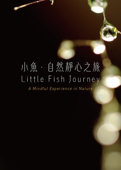 Little Fish Journey｜A Mindful Experience in Nature