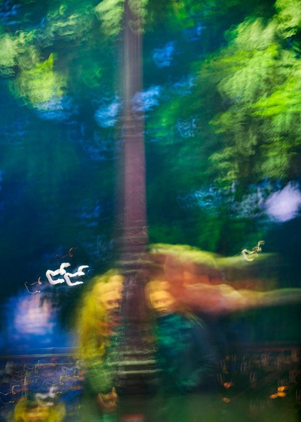 The Trees of Paris | Exhibition | Intersections Gallery