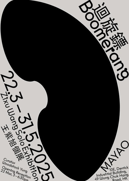 BOOMERANG｜Zixu Wang Solo Exhibition