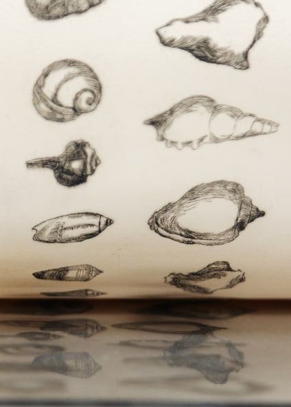 Traces of Life | Drypoint Etching Workshop