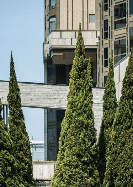 Joyful Trees (Arbores Laetae)｜Installation｜Oi!