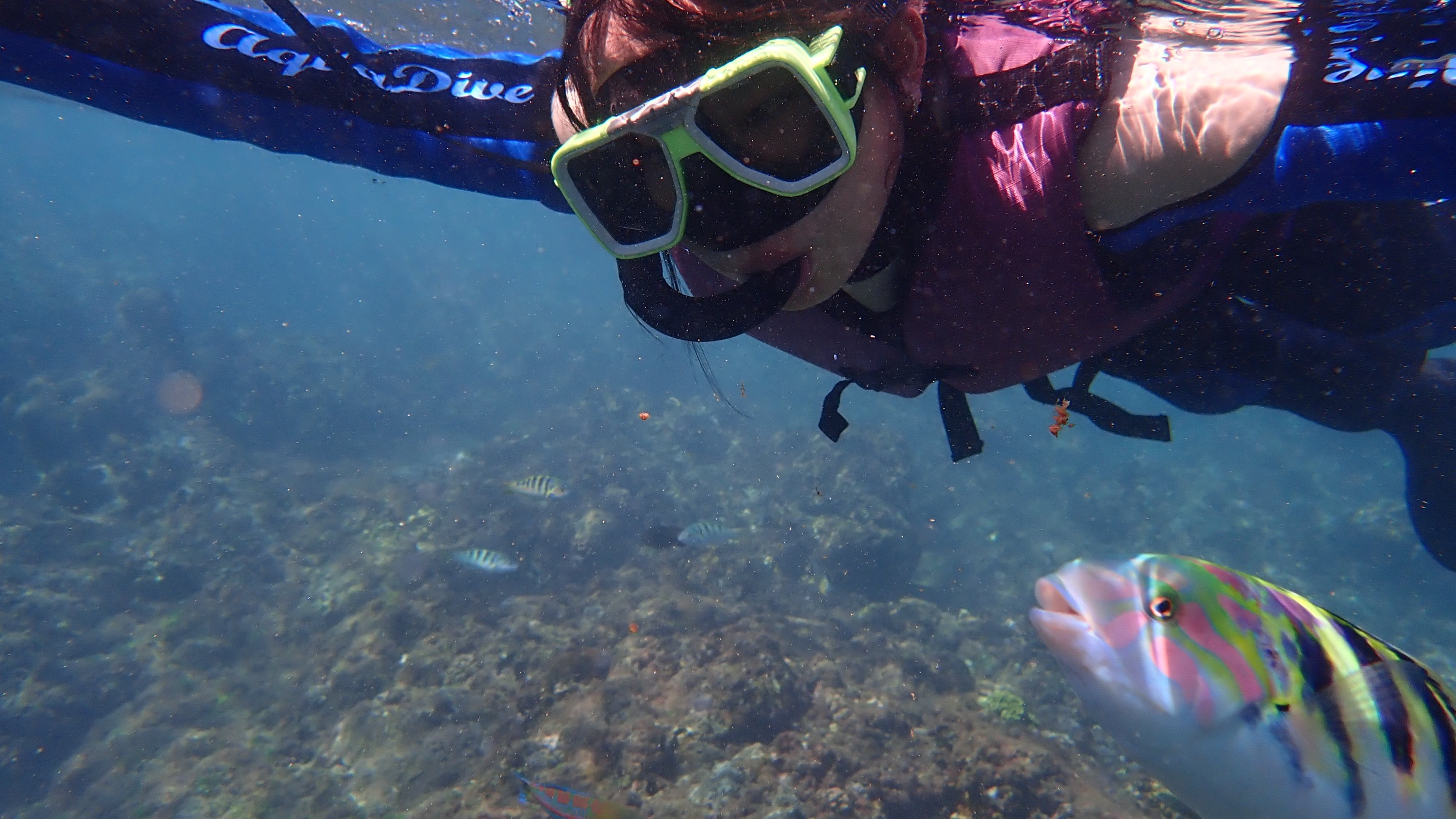 Experiencia de esnórquel en Houbihu, Nanyong Kenting, Pingtung - Klook ...