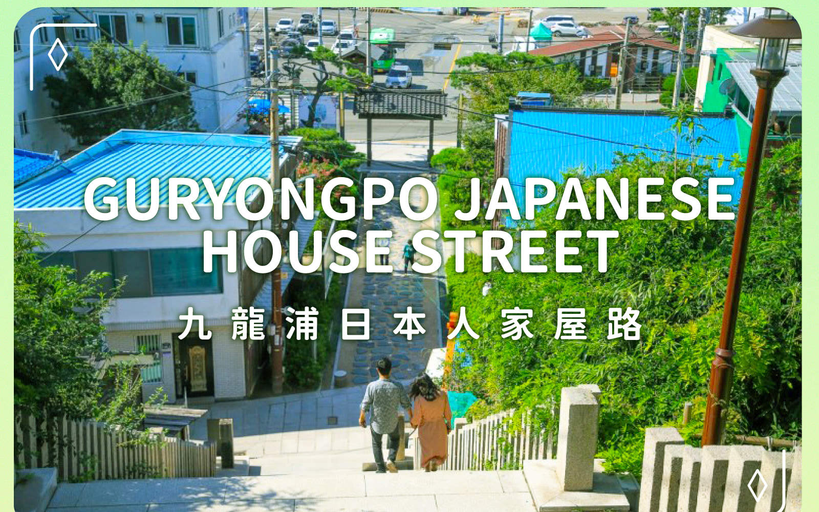 Pohang Space Walk x Cherry Blossom, Guryongpo, Homigot Canola Flower ...