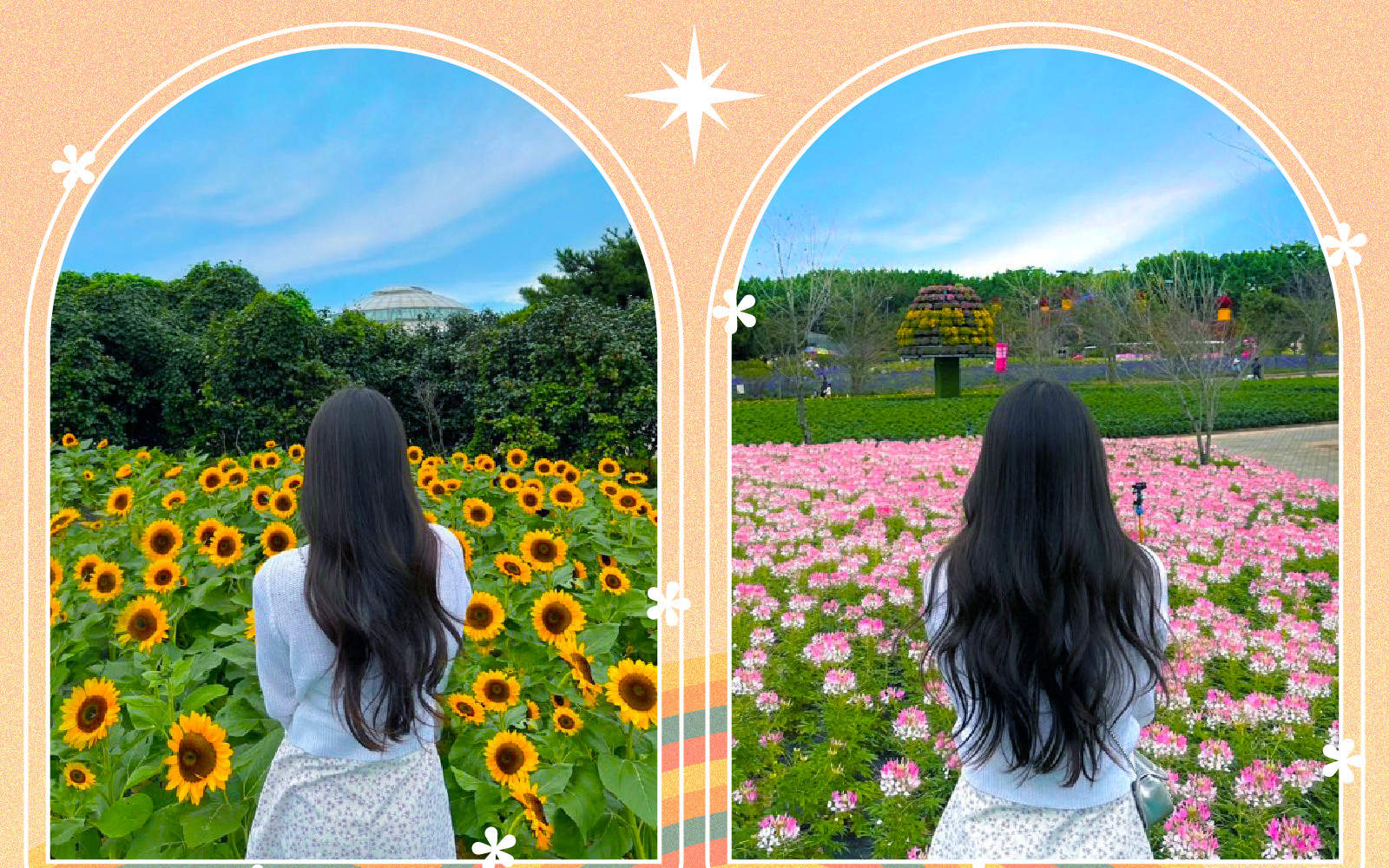 Taean Tulip Festival + Cheonripo Arboretum + Green Park Day Tour - Klook