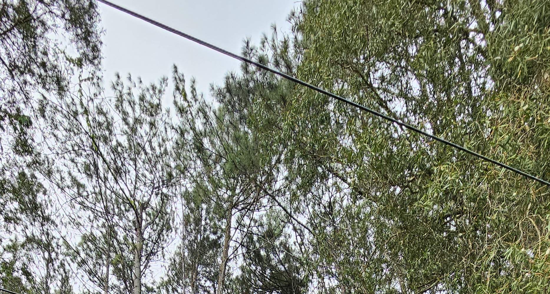 Merapi Jeep Sunrise, Jomblang & Pindul Caves, Pengger Pine Forest ...