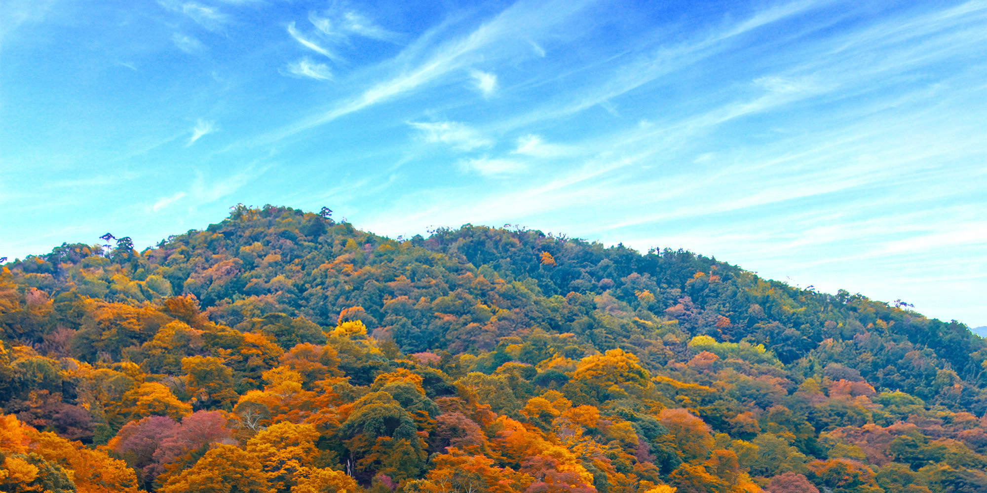 Autumn in Kyoto: Minoh, Sagano Train, Arashiyama & Kinkakuji - Klook ...