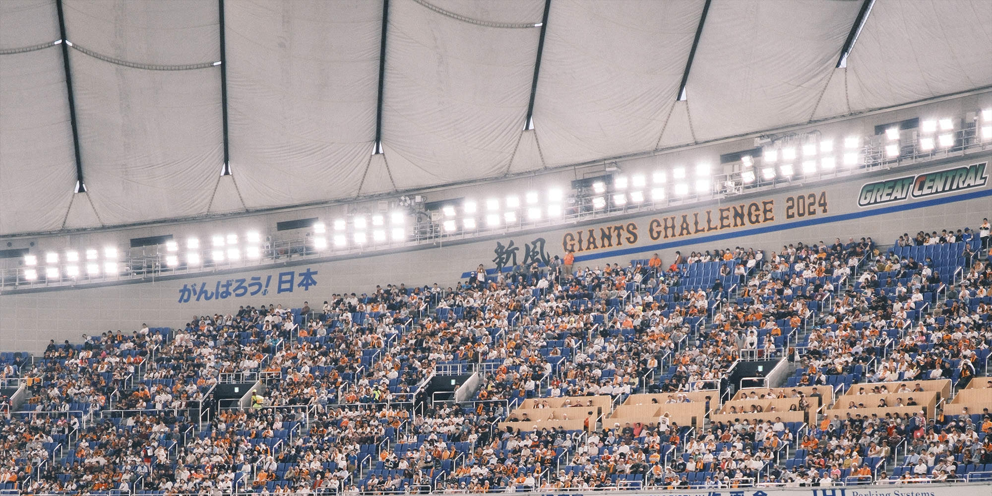 Tokyo Baseball Yomiuri Giants Match Tour (English Speaking Guide ...