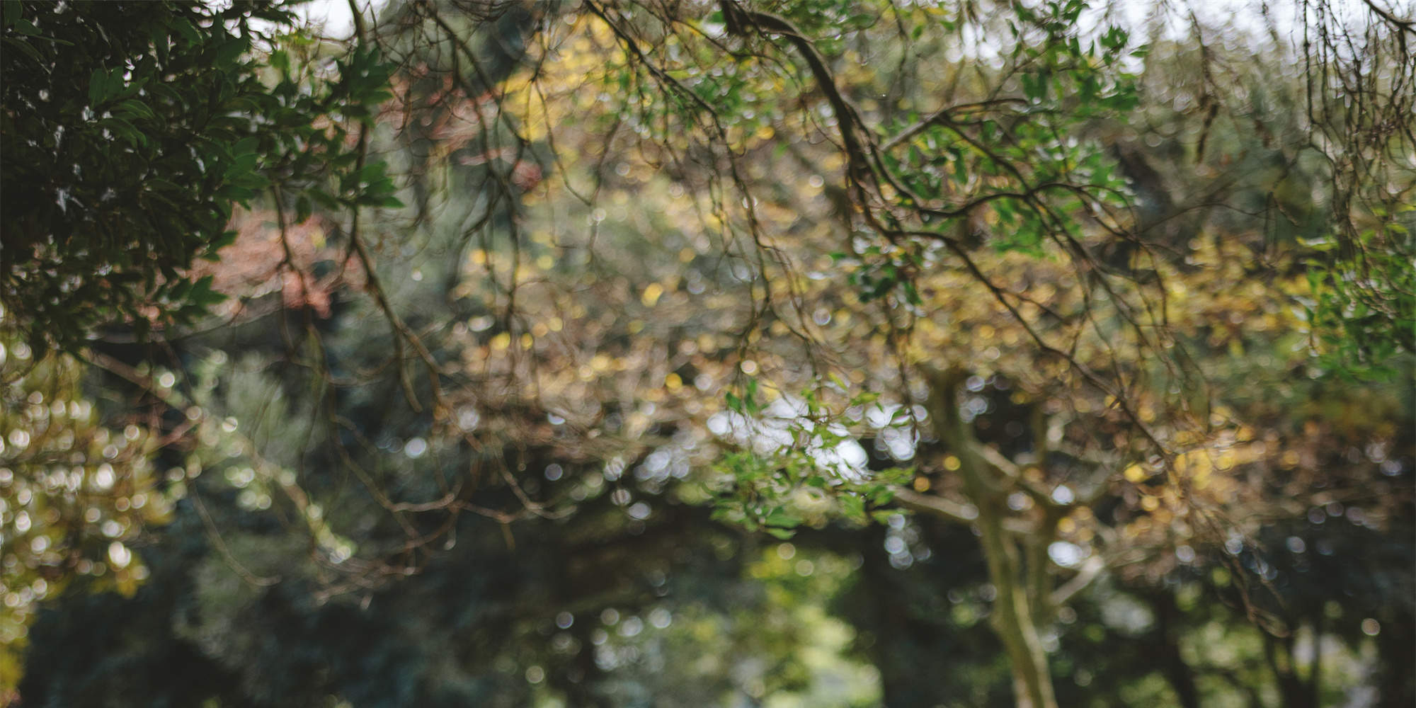Pengalaman Pemotretan Luar Ruangan dengan Hanbok Tradisional di Pulau ...