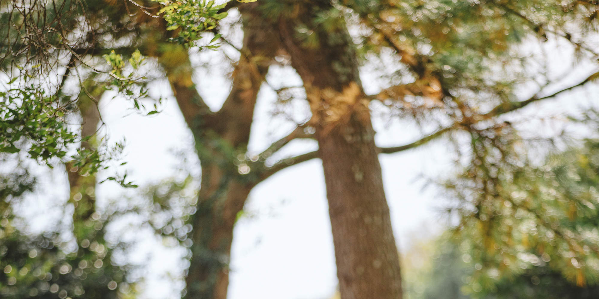 Pengalaman Pemotretan Luar Ruangan dengan Hanbok Tradisional di Pulau ...