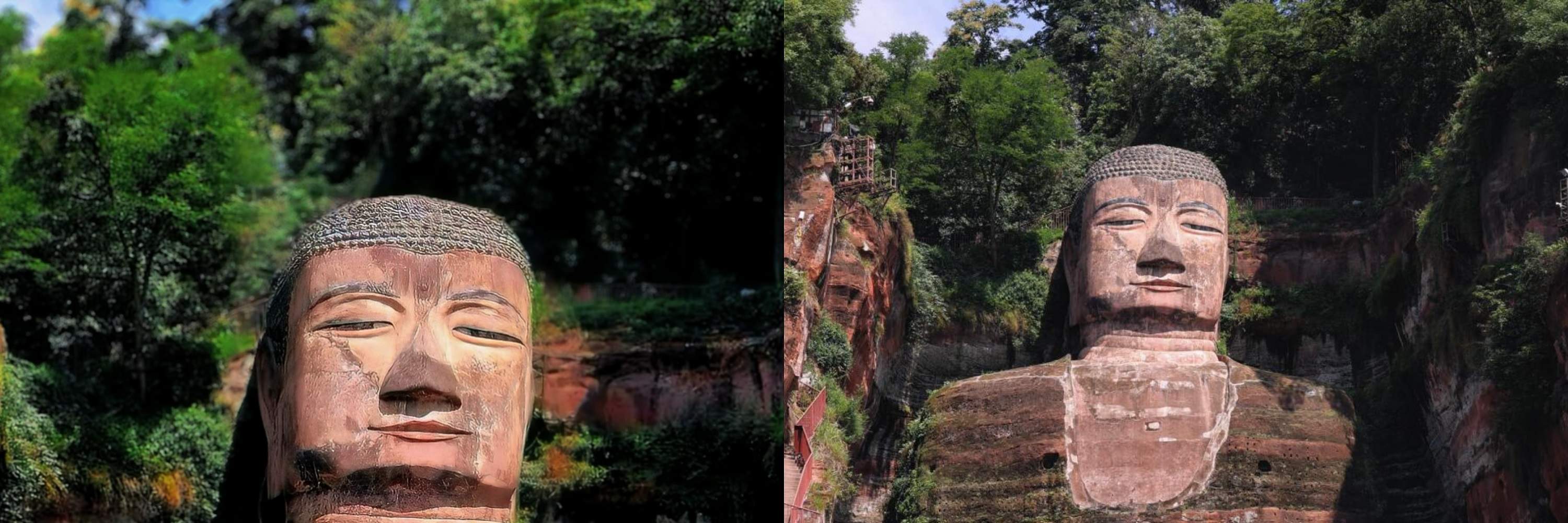 Sichuan Chengdu Giant Panda Base + Leshan Giant Buddha Pure Play Day ...