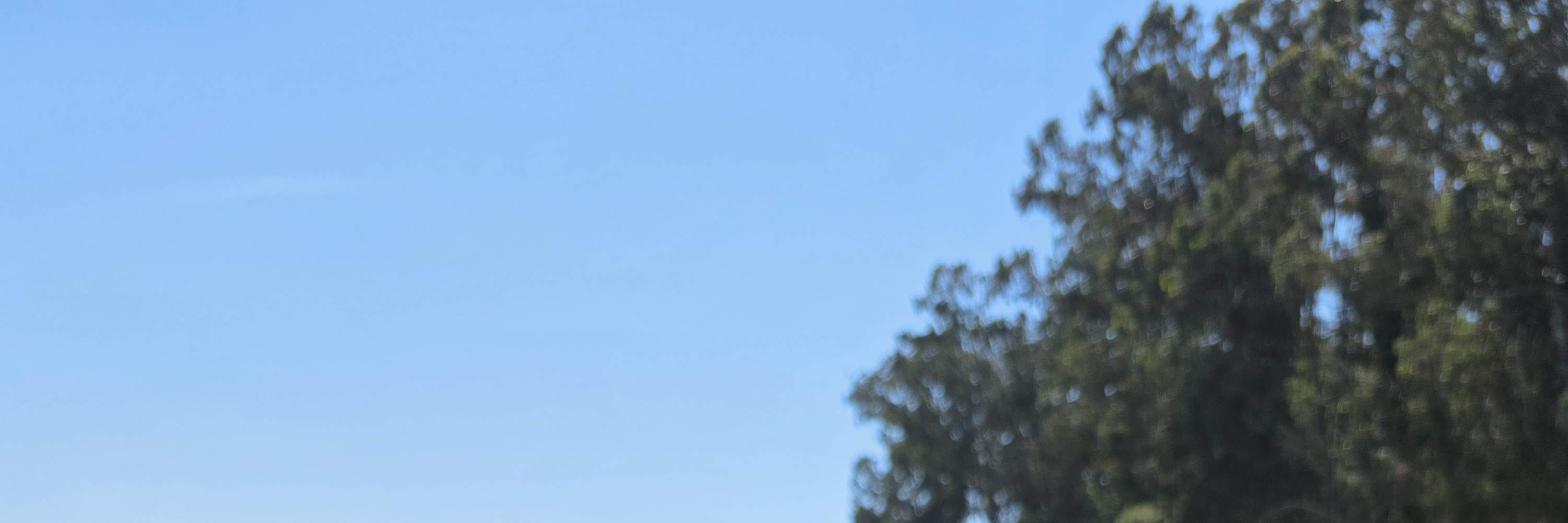 San Francisco: Crab Catch & Cook Experience under Golden Gate Bridge ...