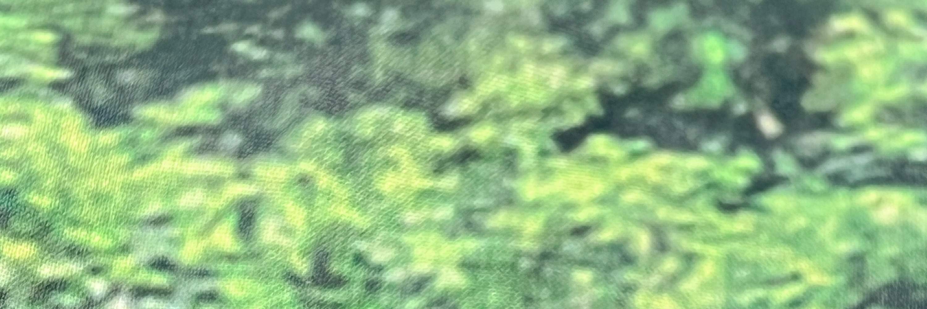 Precious Silver Clay Gelstone DIY Workshop - Klook Hong Kong