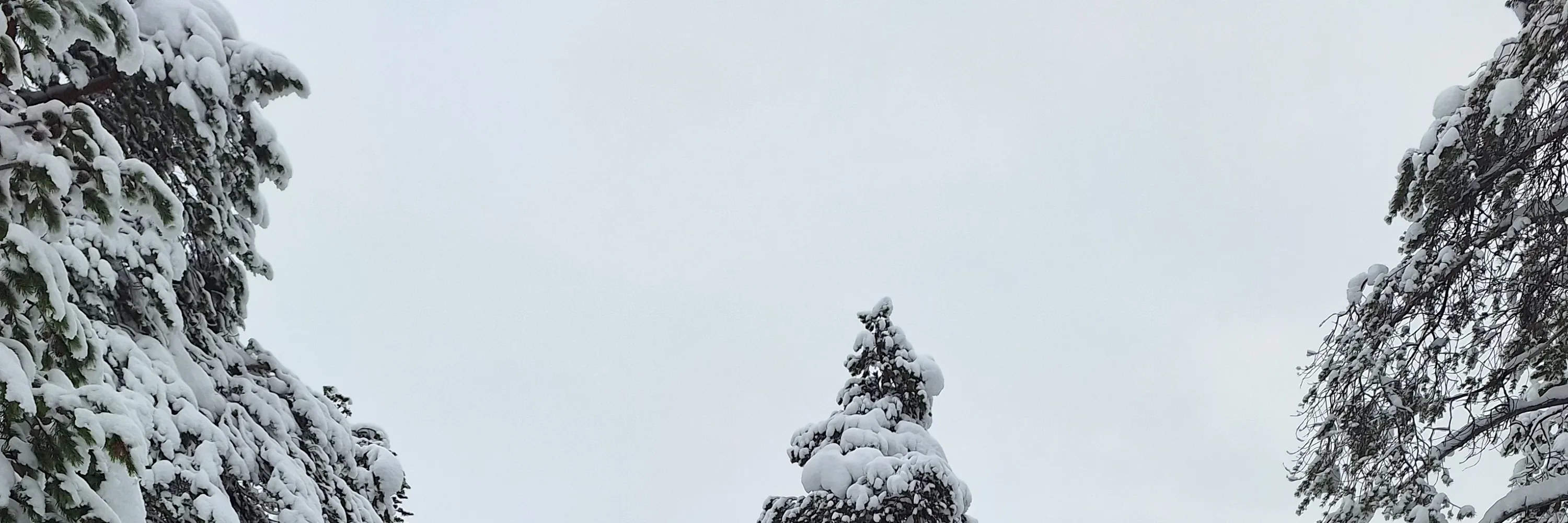 Nordic Nature: Two-Hour Snowshoeing by Lake Inari - Klook