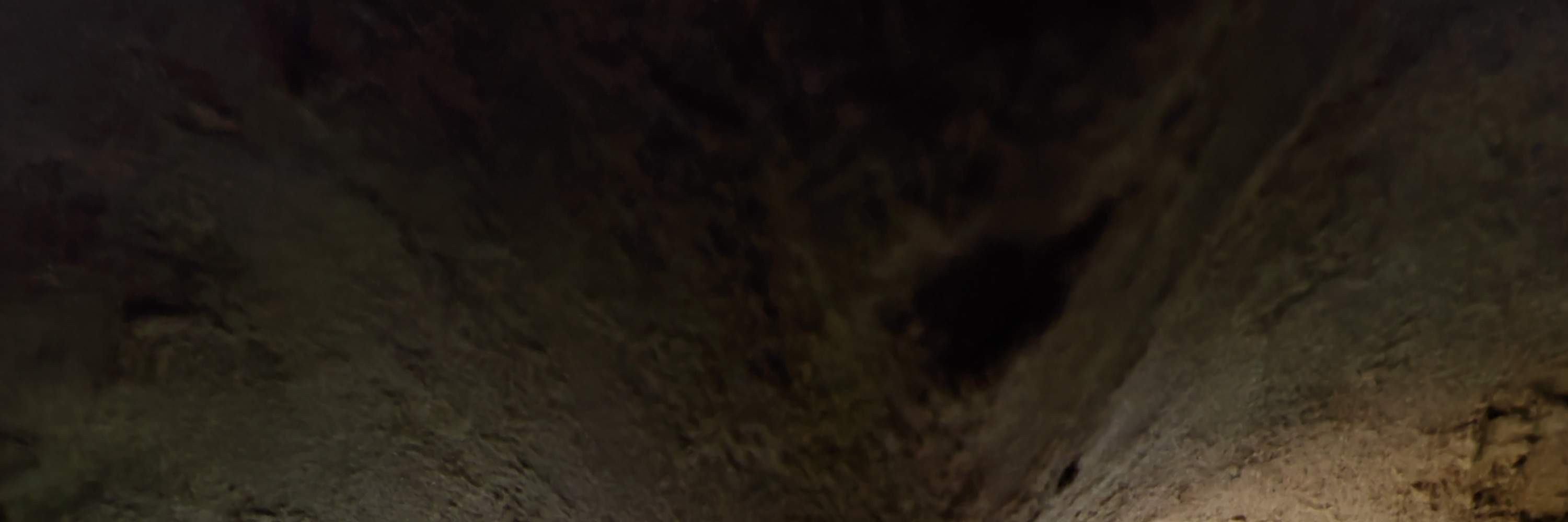 馬來西亞沙巴賓蘇魯克河遊船之旅 - Klook香港