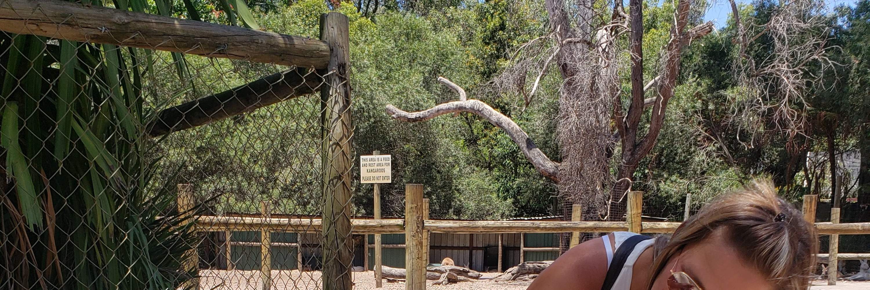 City Highlights and Wildlife Park Guided Day Tour from Perth - Klook ...