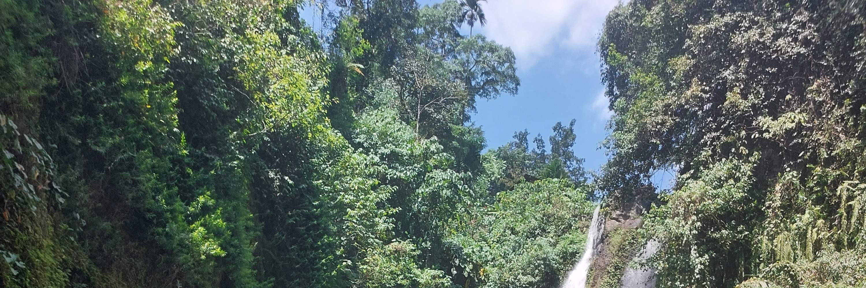 Sambangan Waterfalls with Wanagiri Swing Day Trip, Bali, Indonesia ...