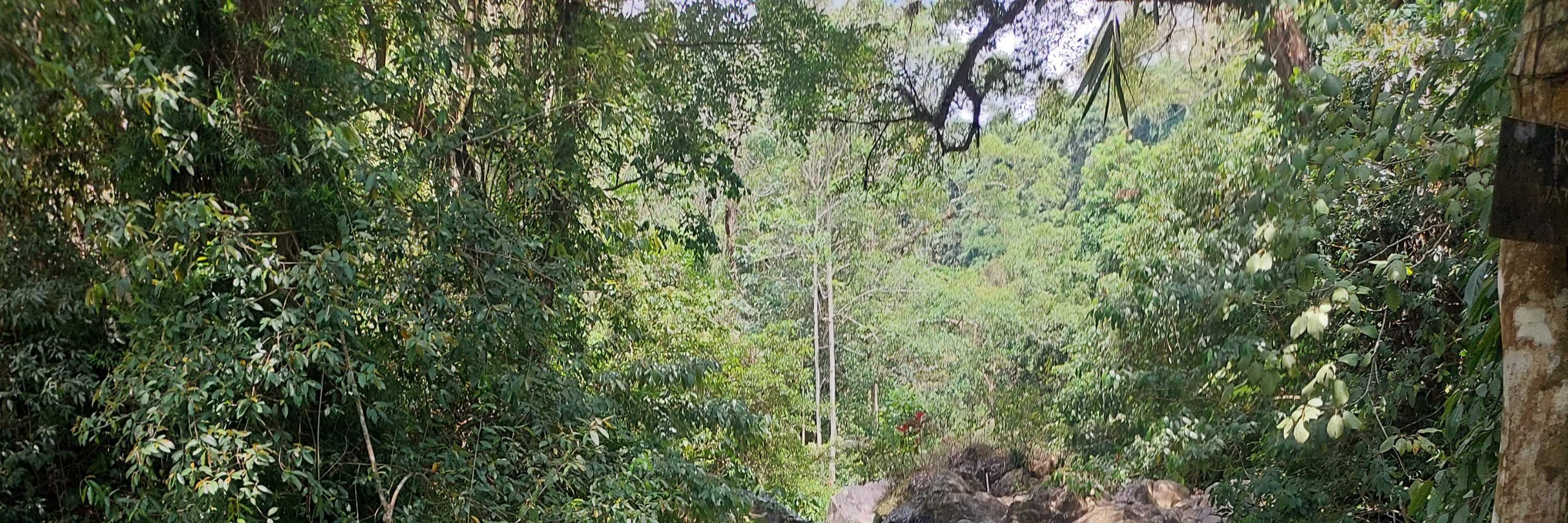 Sambangan Waterfalls with Wanagiri Swing Day Trip, Bali, Indonesia ...