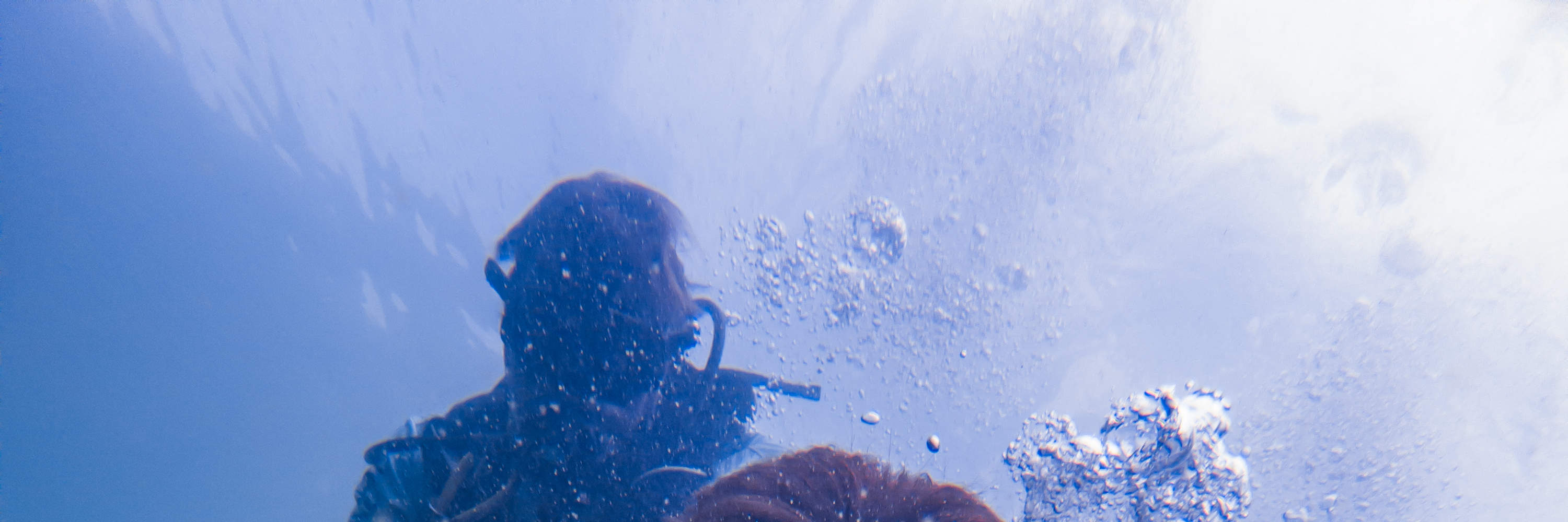 Experience the Thrill of Scuba Diving in Koh Kood with our PADI 5 Star Dive Center - Klook ...