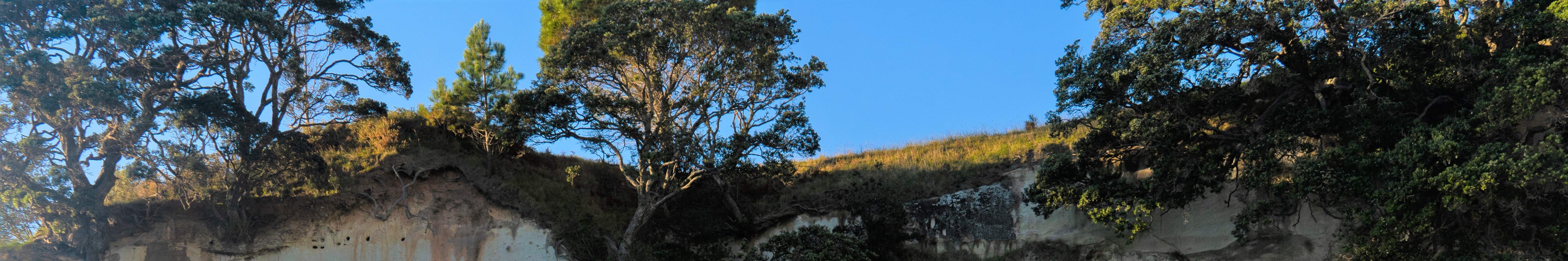 Experience PADI Discover Scuba Diving in Hahei with Certified PADI Dive ...