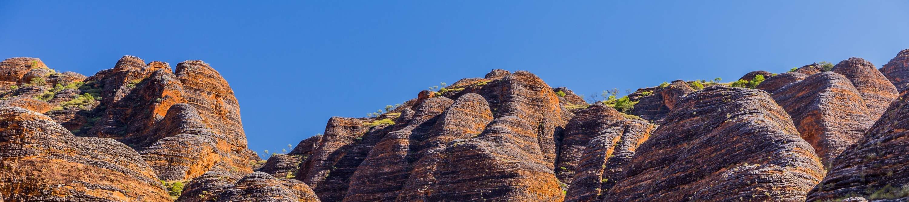Bungle Bungle Explorer Tour from Broome - Klook