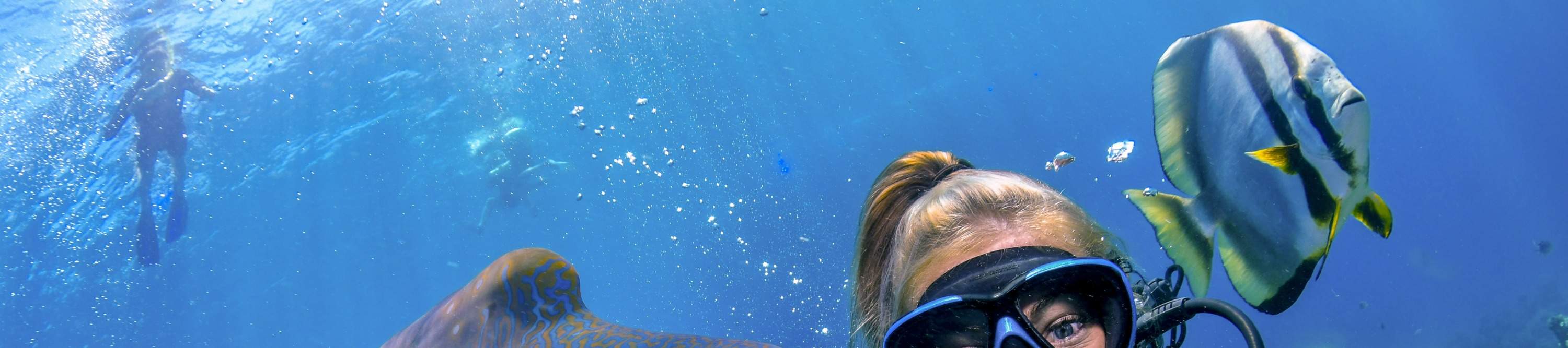 Great Barrier Reef Full Day Diving Tour from Cairns - Klook Australia