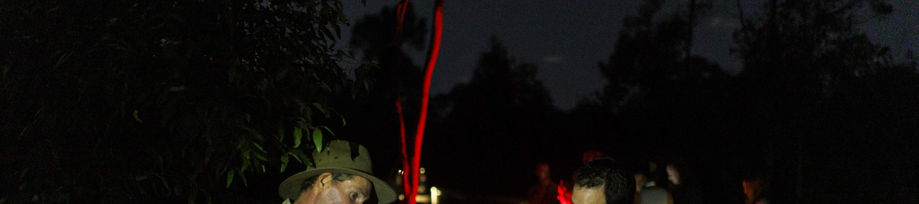 Lone Pine Koala Sanctuary Nocturnal Tour - Klook