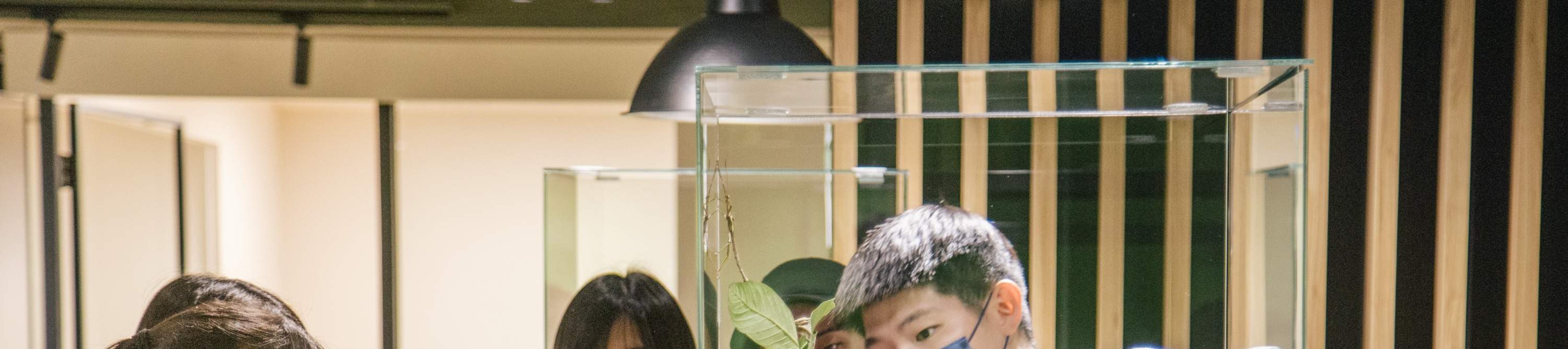 Taipei: Visit and Explore the Bugs Bass Insectarium - Klook