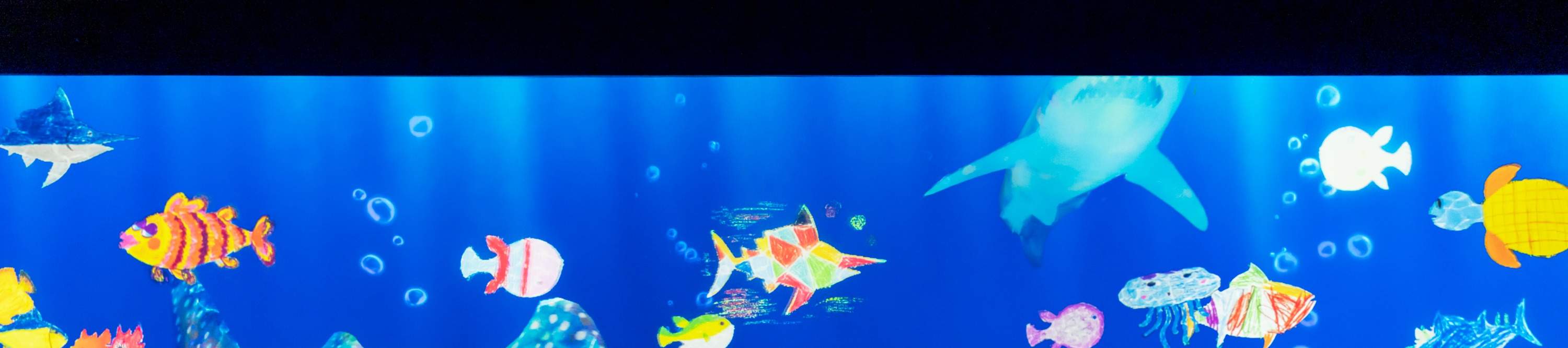 teamLab Future Park and Animals of Flowers, Symbiotic Lives Sapporo ...